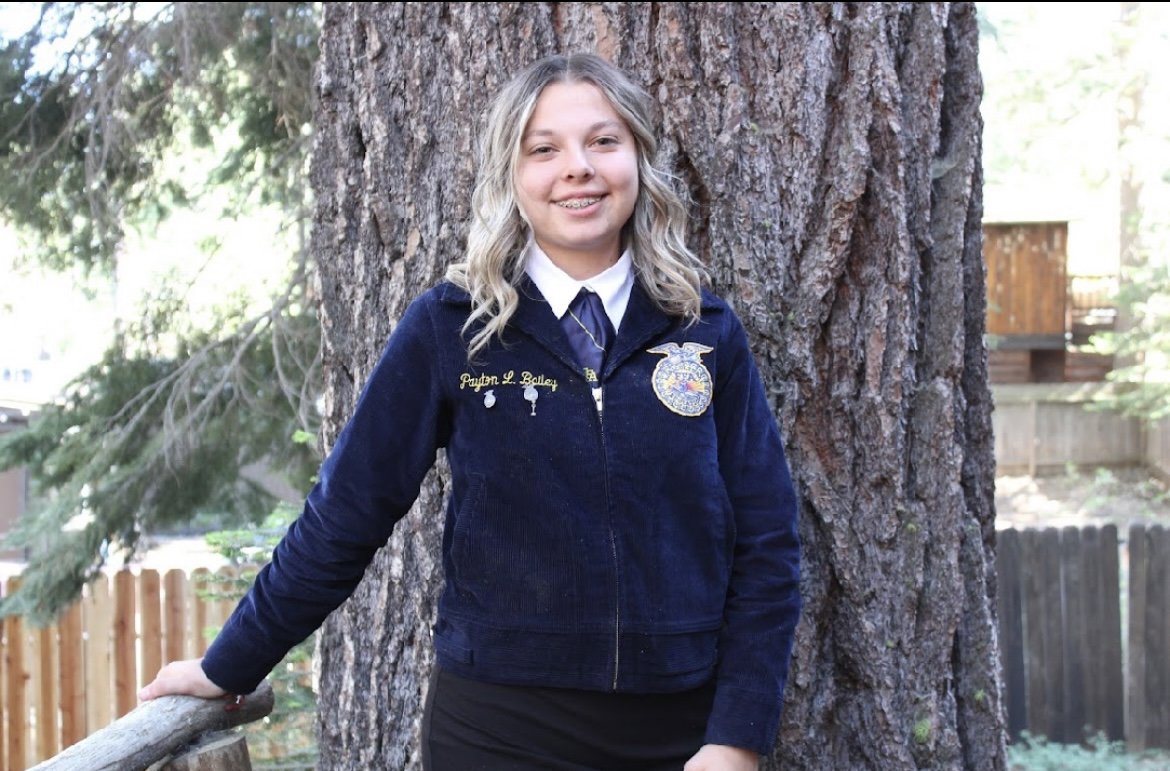 Nominee "Payton Bailey" - Best of Orangevale 2025